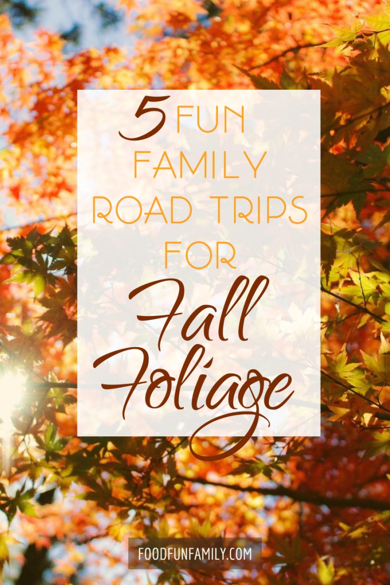5 Fun Family Road Trips for Fall Foliage